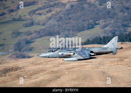 raf harrier low flying in the mach loop Stock Photo - Alamy