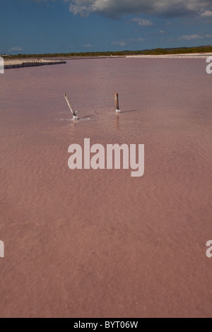 Dry salt flats at Cabo Rojo wildlife preserve Puerto Rico Stock Photo ...