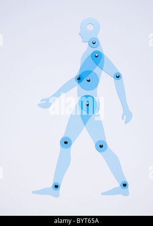 Human form ruler - Walking Stock Photo - Alamy