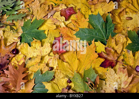 Background autumn leafs Stock Photo - Alamy