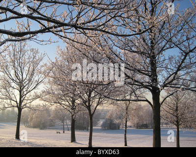 Snow scene at Barshaw Park, Paisley, Scotland Stock Photo - Alamy