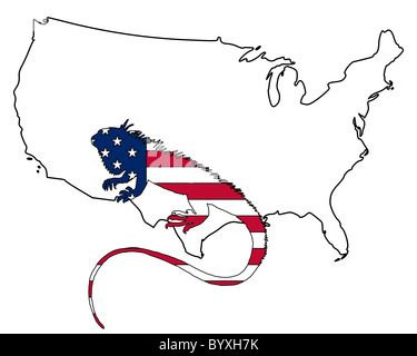 usa america iguana flag north america states united sign signal blue ...