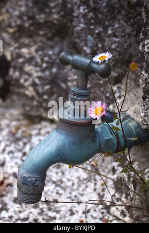 Wall mounted outdoor garden tap Stock Photo - Alamy