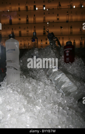 Atmosphere Grand opening of the Icepeak Vodka Lounge. With 150 ...