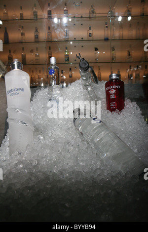 Atmosphere Grand opening of the Icepeak Vodka Lounge. With 150 ...