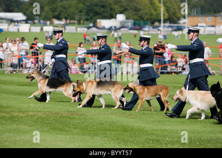 RAF police dogs demonstration of crowd control Stock Photo - Alamy