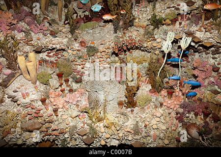 The Permian Basin Petroleum Museum, Midland, Texas, USA Stock Photo - Alamy