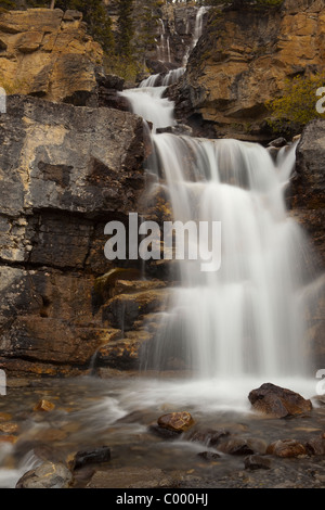 Tangle Creek waterfalls in Jasper National Park in Alberta Canada Stock ...