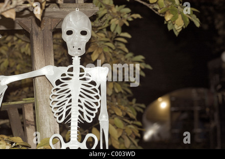 skeleton hanging from tree in garden at night Stock Photo - Alamy
