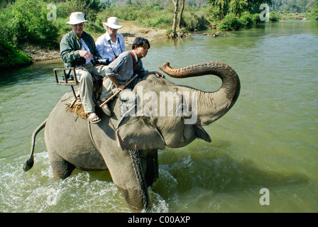 Tourists riding elephants in Thailand Stock Photo - Alamy