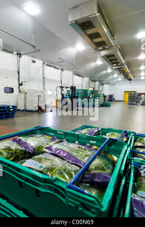 Salad crop distribution warehouse Stock Photo - Alamy
