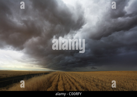Huge thundercloud on fields Stock Photo - Alamy