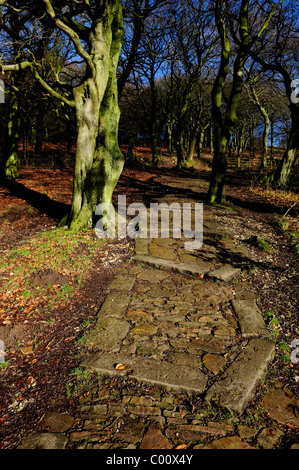 stone pathway mam tor peak district derbyshire england uk Stock Photo ...