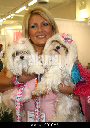 Atmosphere Runway show for Pet Fashion Week New York. Pet Fashion Week ...