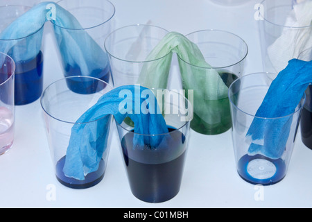 Demonstration of Capillary Action Stock Photo - Alamy