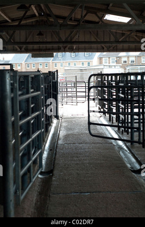 Empty stock pens in the cattle market Stock Photo - Alamy