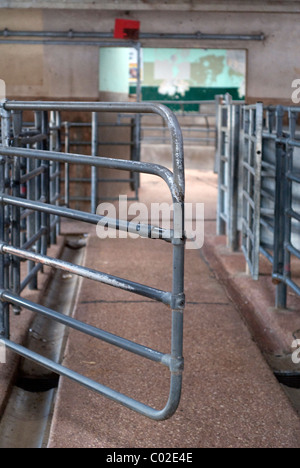 Empty stock pens in the cattle market Stock Photo - Alamy