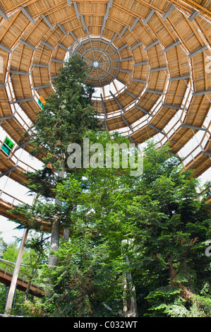 Tree tower, treetop walkway, Bavarian Forest National Park, Neuschoenau ...