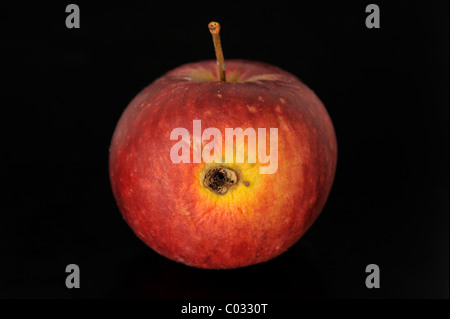 Cut apple, rotten inside Stock Photo: 48670999 - Alamy