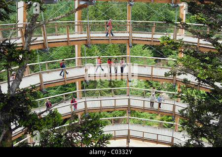 Tree tower, treetop walkway, Bavarian Forest National Park, Neuschoenau ...