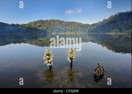Laguna Chicabal, a lake sacred to the Mayan people, Guatemala, Central ...