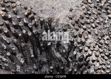 the burren national park in county clare, ireland. beautiful scenic ...