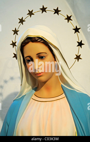 The Virgin Mary, statue of a saint, gloriole with stars, heart, daggers ...