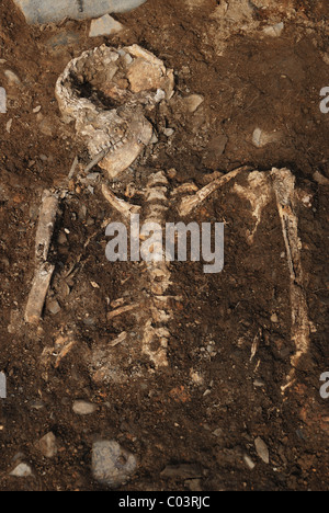 Skeleton in the Roman " Domus " Archaeological site " Chao Samartin ...