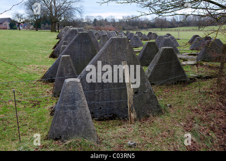 Concrete Dragons Teeth, or Drachenzähne, remains of the World War 2 ...