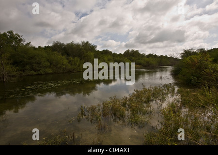 Resaca de la Palma State Park preserves 1,200 acres of wetland mature ...