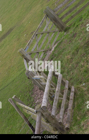 Green Grass Field Stock Photo - Alamy