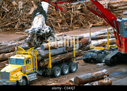 Canadian Logging Yard North West Bay, Nanoose, Vancouver Island ...