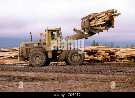 Wheel loader moving logs in the log yard of Blue Mt Lumber Products in ...