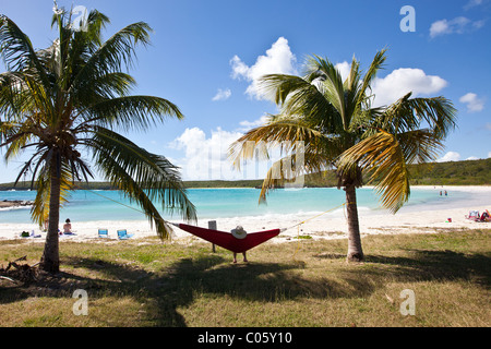 Red Beach or playa caracas beach in Vieques Island, Puerto Rico Stock ...