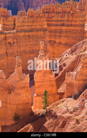 Hoodoos of the Claron formation, Bryce Ampitheater, Bryce Canyon ...