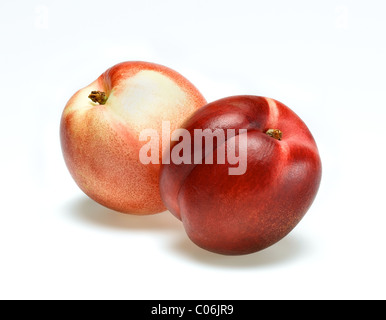 Fruit: fresh nectarine, Prunus persica, Early Bomba, Spain, inside ...