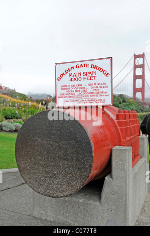 cross section of Golden Gate bridge cable San Francisco California ...