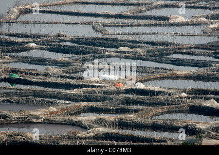 Salt extraction in lake Katwe near Queen Elizabeth National Park ...