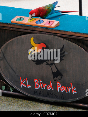 parakeet doing tricks show kuala lumpur KL bird park aviary malaysia ...