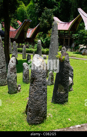 Megalithic complex, Kalimbuang Bori, Toraja culture, Sulawesi ...