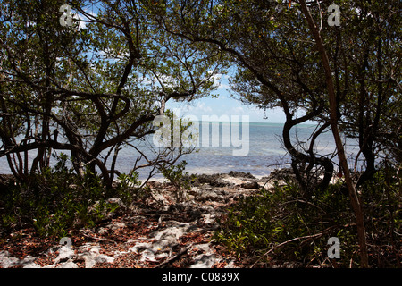 Indian Key Florida Stock Photo - Alamy