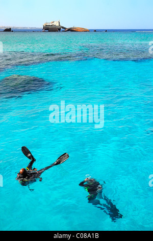 Snorkeling and scuba diving near Tiran Island , north of Sharm El ...
