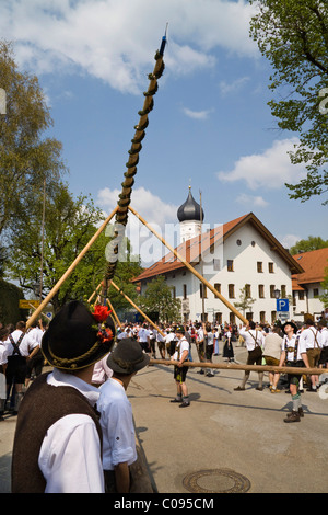 Traditional maypole in Bavaria Stock Photo - Alamy