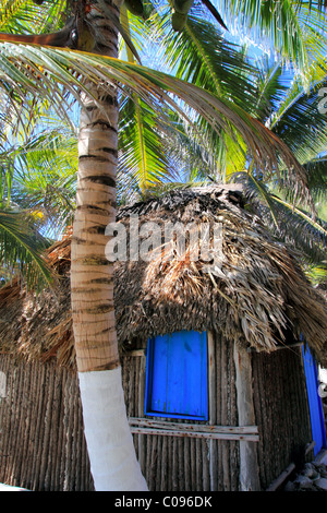 Vertical beautiful landscape, clear blue sky, low horizon, sunrise or ...