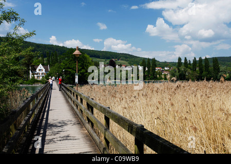 The Werdinsel island with wooden bridge and the chapel in the Untersee ...