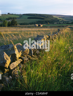 Longnor, Peak District landscape, Staffordshire, Peak District, England ...