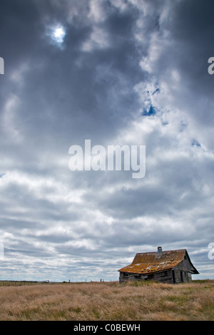 Lonely house on the prairie, Prairies are ecosystems considered part of ...