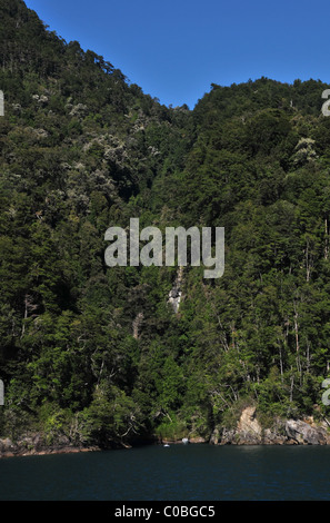A small lake at the foot of a high cliff in a valley covered with the ...