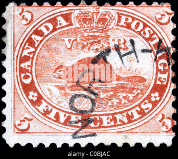 Canada Postage Stamp - Beaver Stock Photo - Alamy