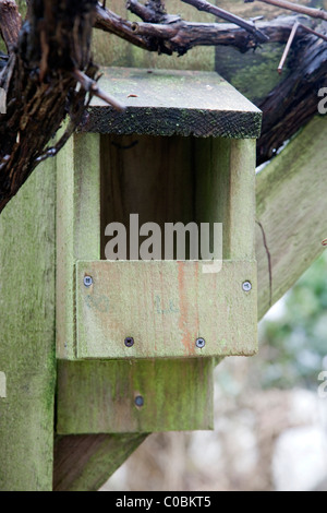 Open fronted bird nest box suitable for a robin, Erithacus rubecula ...
